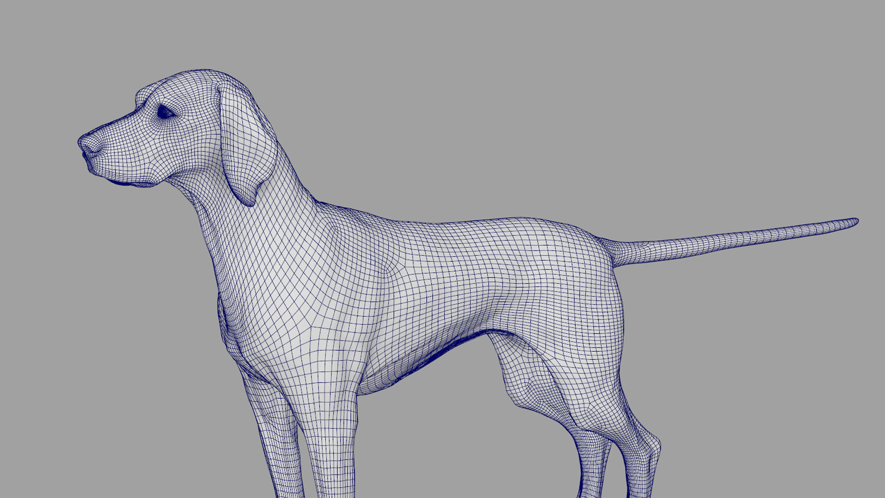 ArtStation - DOG | Resources