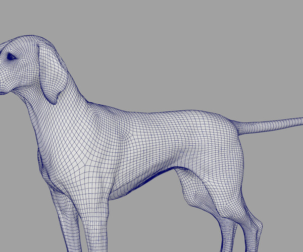 ArtStation - DOG | Resources