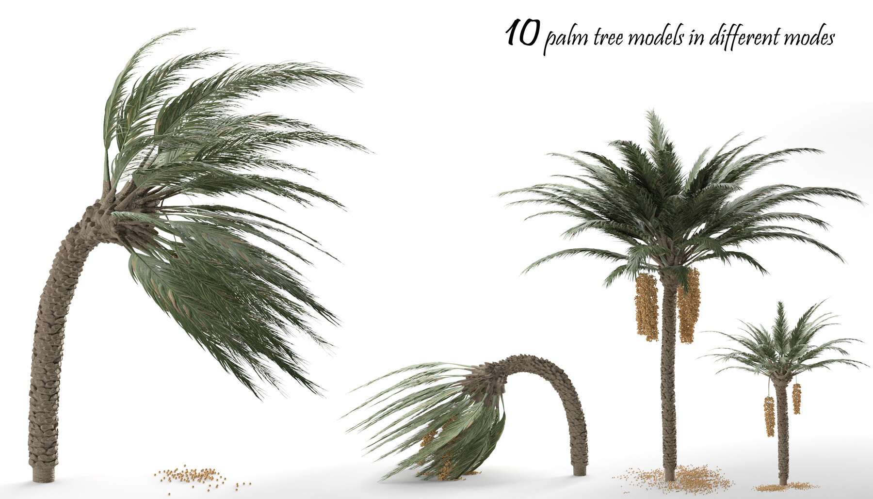 ArtStation - 10 Palm Tree 3D models + with different weather conditions ...