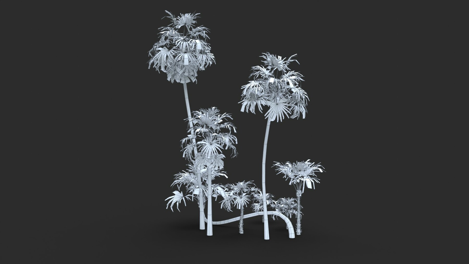 ArtStation - Green Thatch Palm Tree - Thrinax Radiata | Game Assets