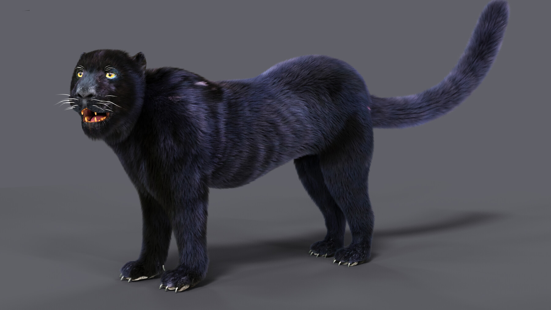 ArtStation - Realistic Fur Black panther Rigged | Game Assets