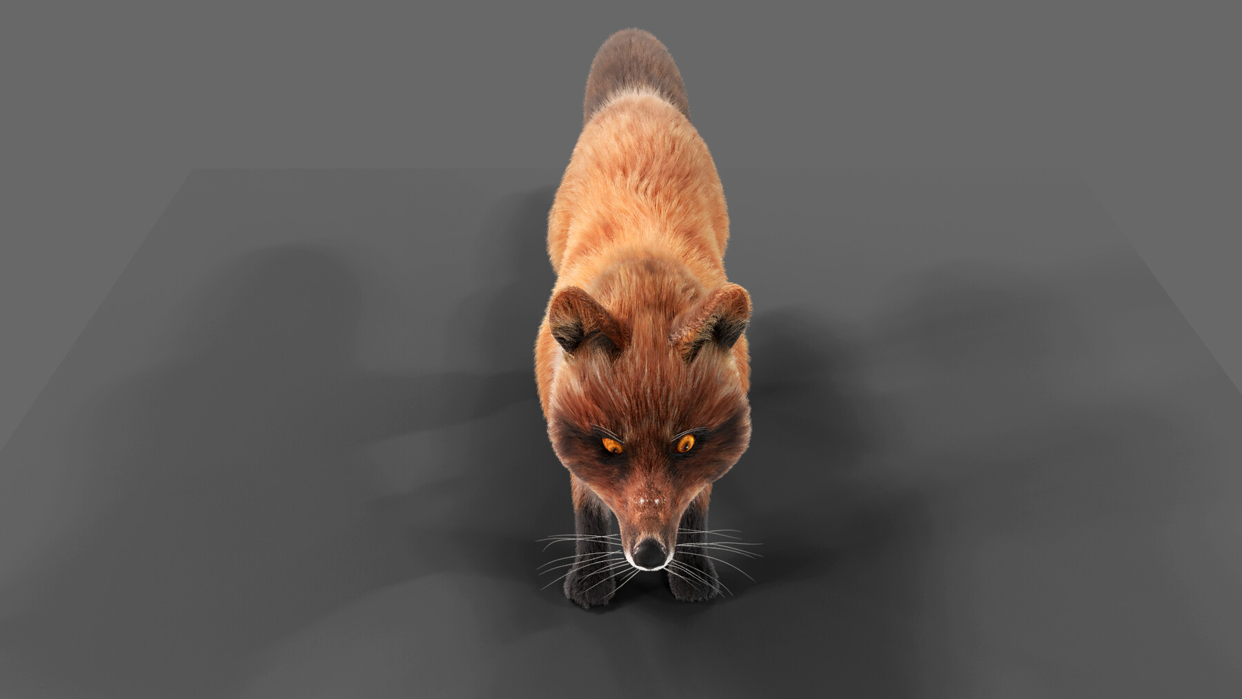 ArtStation - Fur Fox Rigged 01 | Game Assets