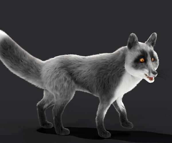 ArtStation - Fur Gray Fox Rigged | Game Assets