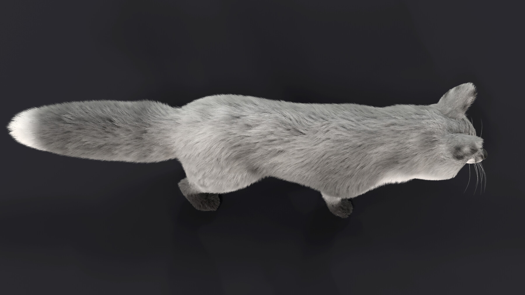 ArtStation - Fur Gray Fox Rigged | Game Assets