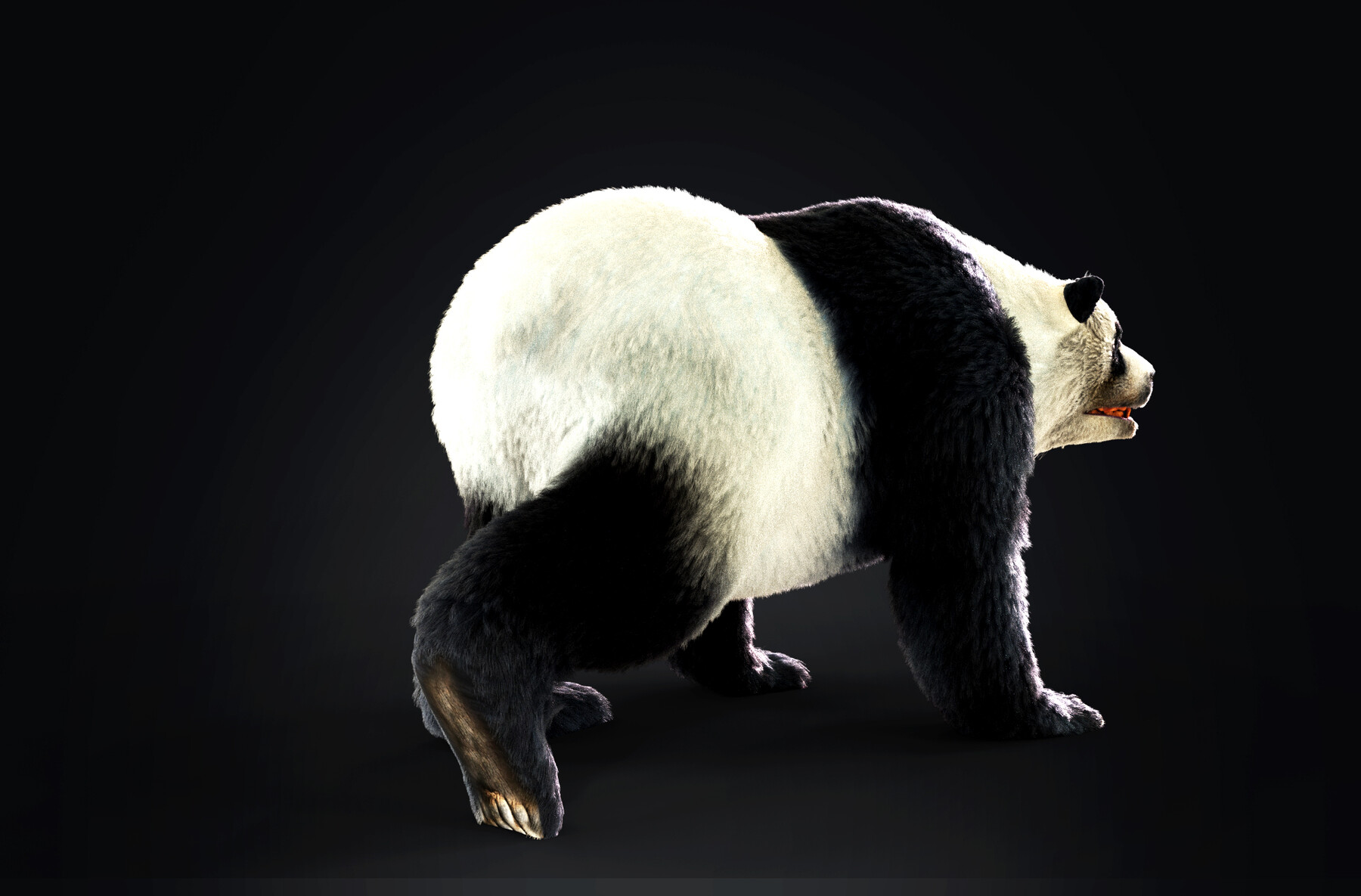 ArtStation - Fur Panda Bear animated | Game Assets