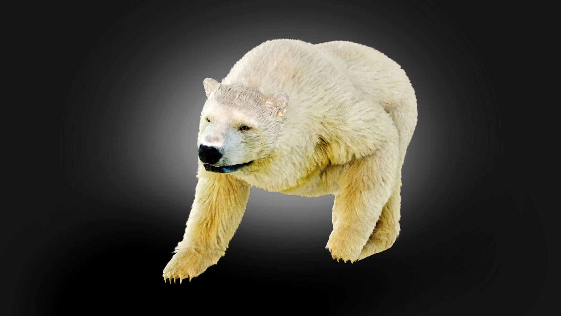 ArtStation - White Bear Fur animated | Game Assets