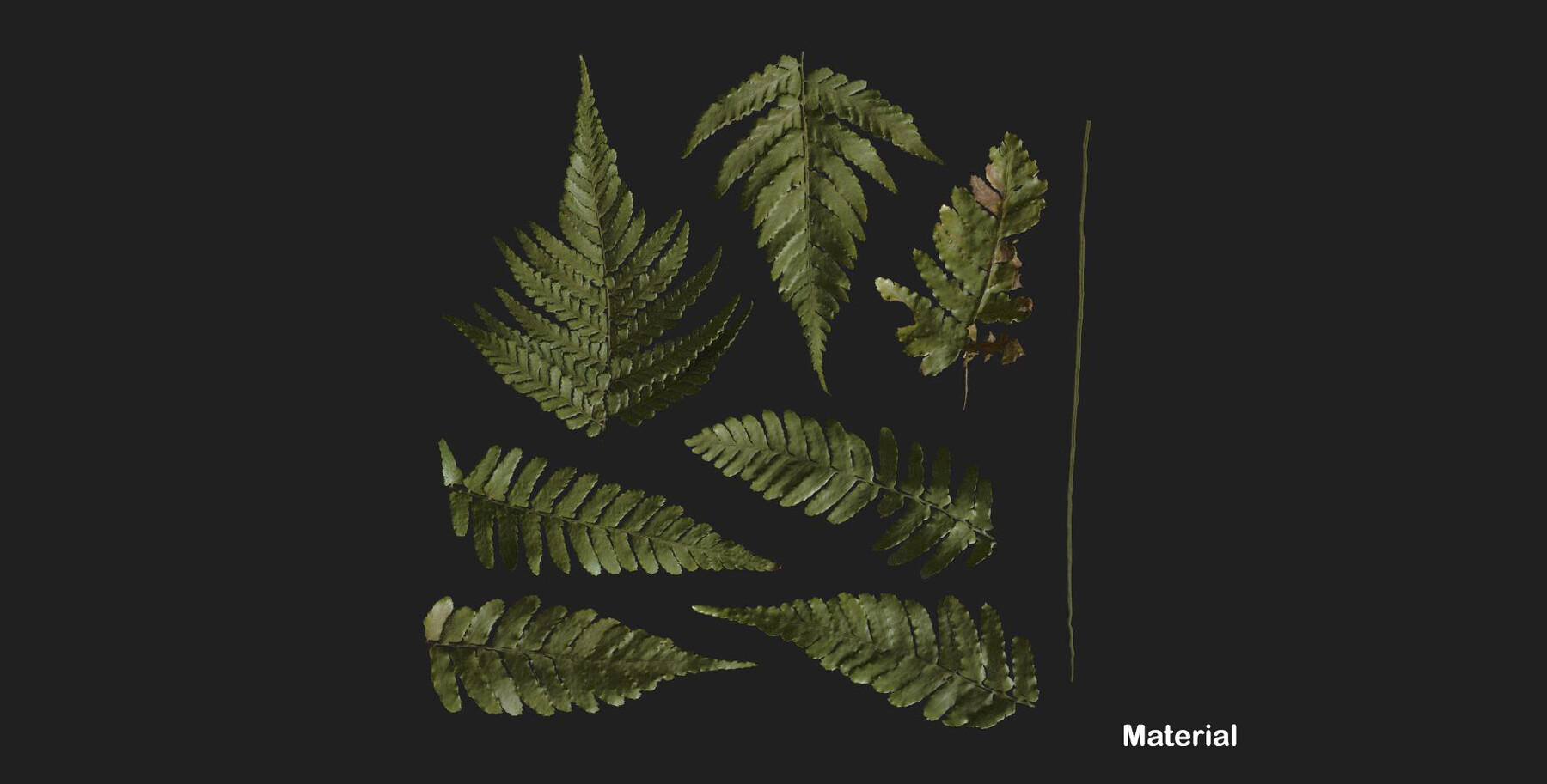 ArtStation - Autumn Fern | Game Assets