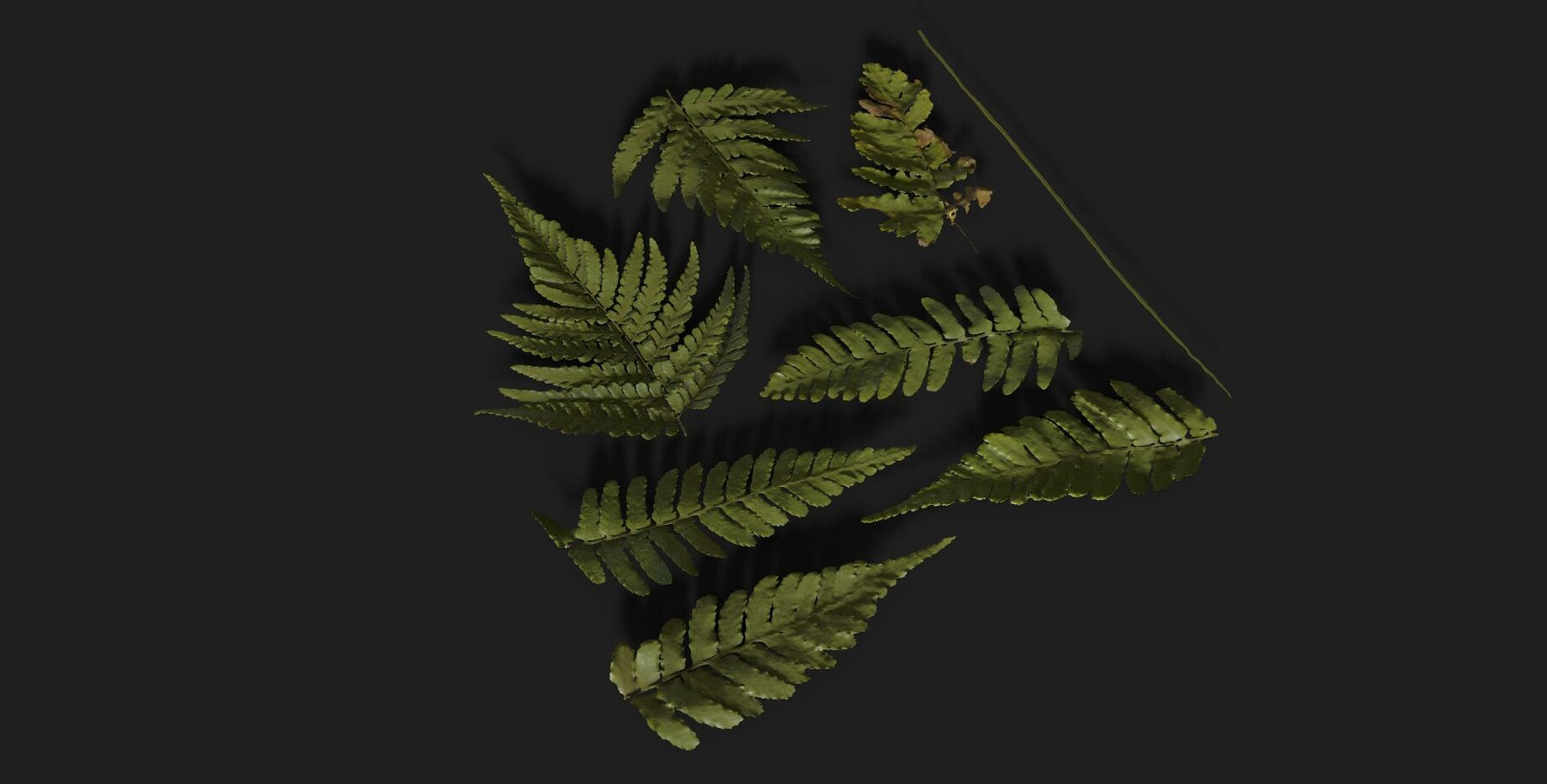 ArtStation - Autumn Fern | Game Assets