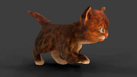 ArtStation - Fur Cute Red Cat Kitten Animated | Game Assets
