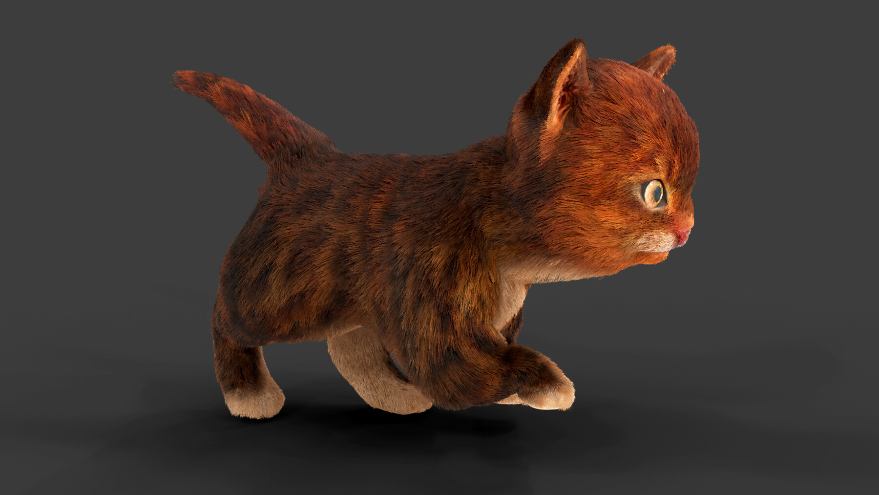 ArtStation - Fur Cute Red Cat Kitten Animated | Game Assets