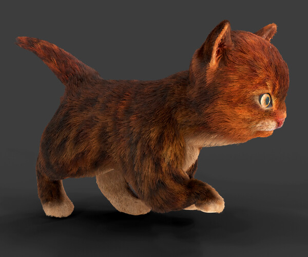 ArtStation - Fur Cute Red Cat Kitten Animated | Game Assets