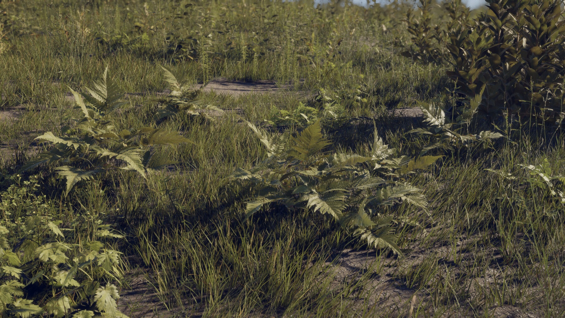 ArtStation - Autumn Fern | Game Assets