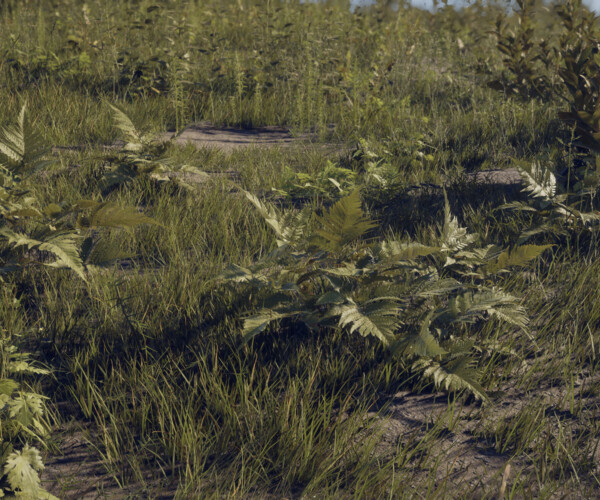 ArtStation - Autumn Fern | Game Assets