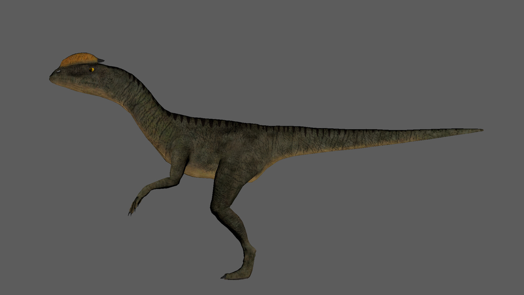ArtStation - Velociraptor dinosaur Low-poly | Game Assets