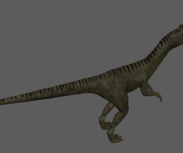 ArtStation - Velociraptor dinosaur Low-poly | Game Assets