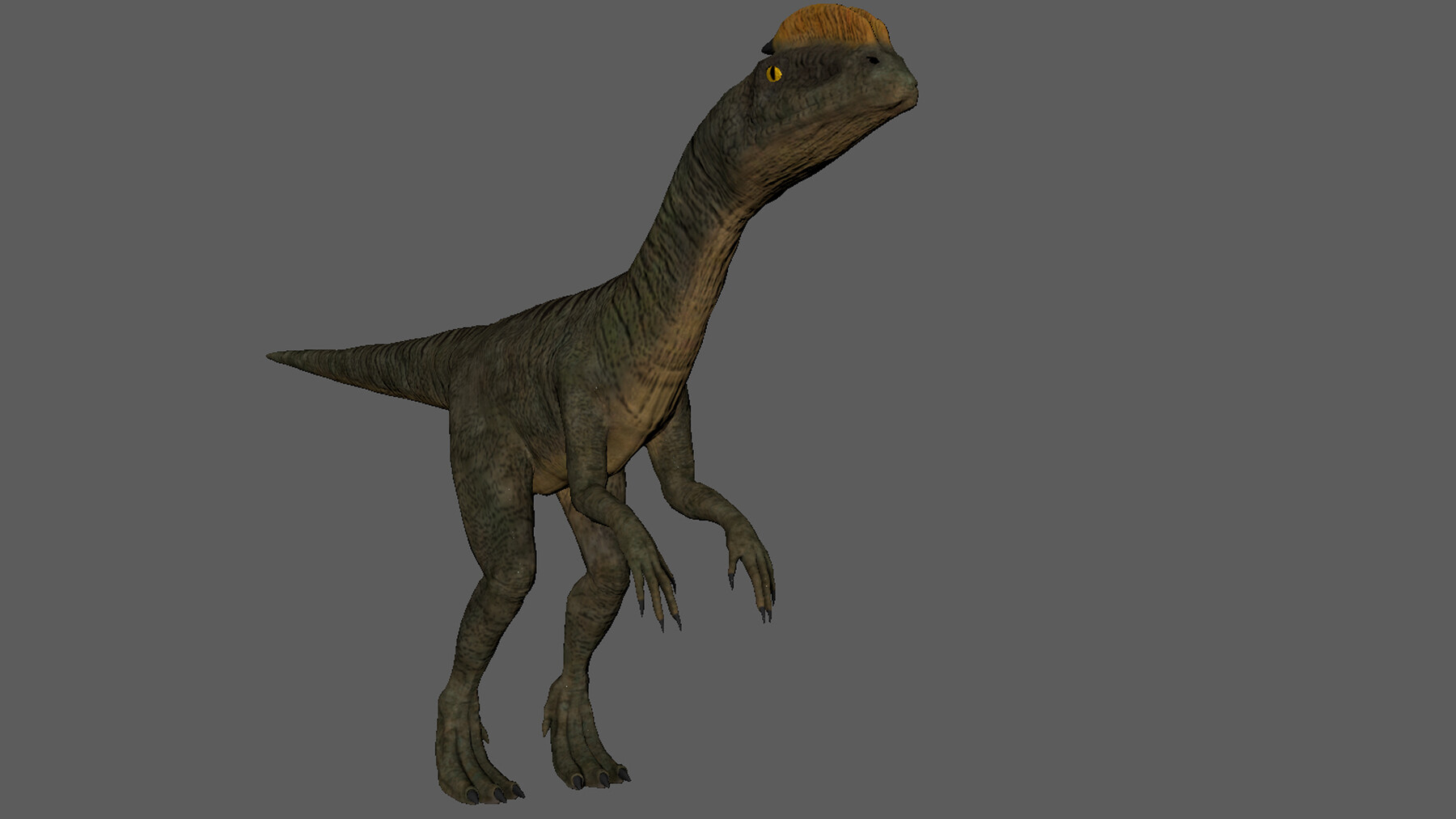 ArtStation - Velociraptor dinosaur Low-poly | Game Assets