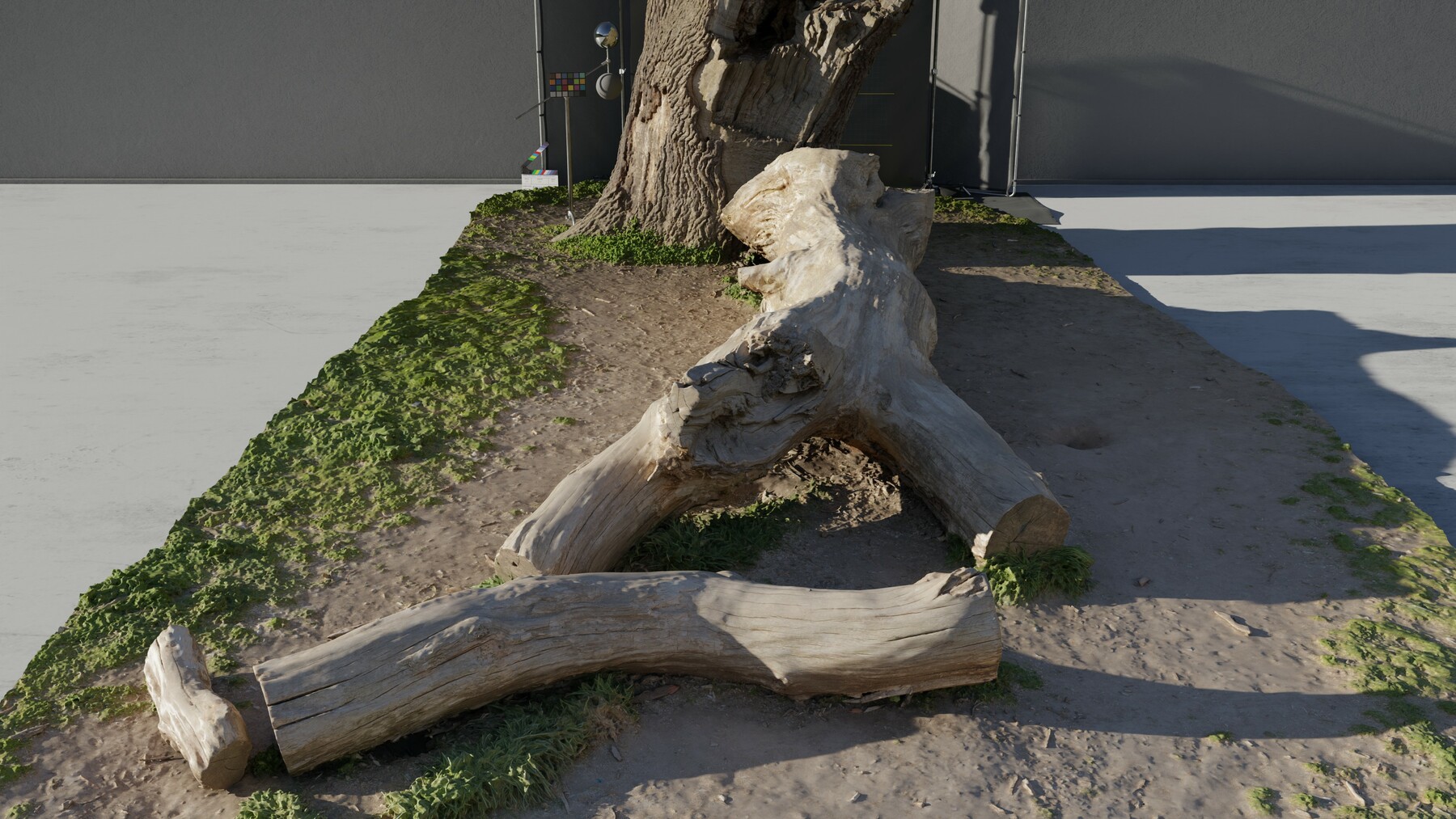 ArtStation - Fallen Tree with a split branch Photogrammetry | Game Assets