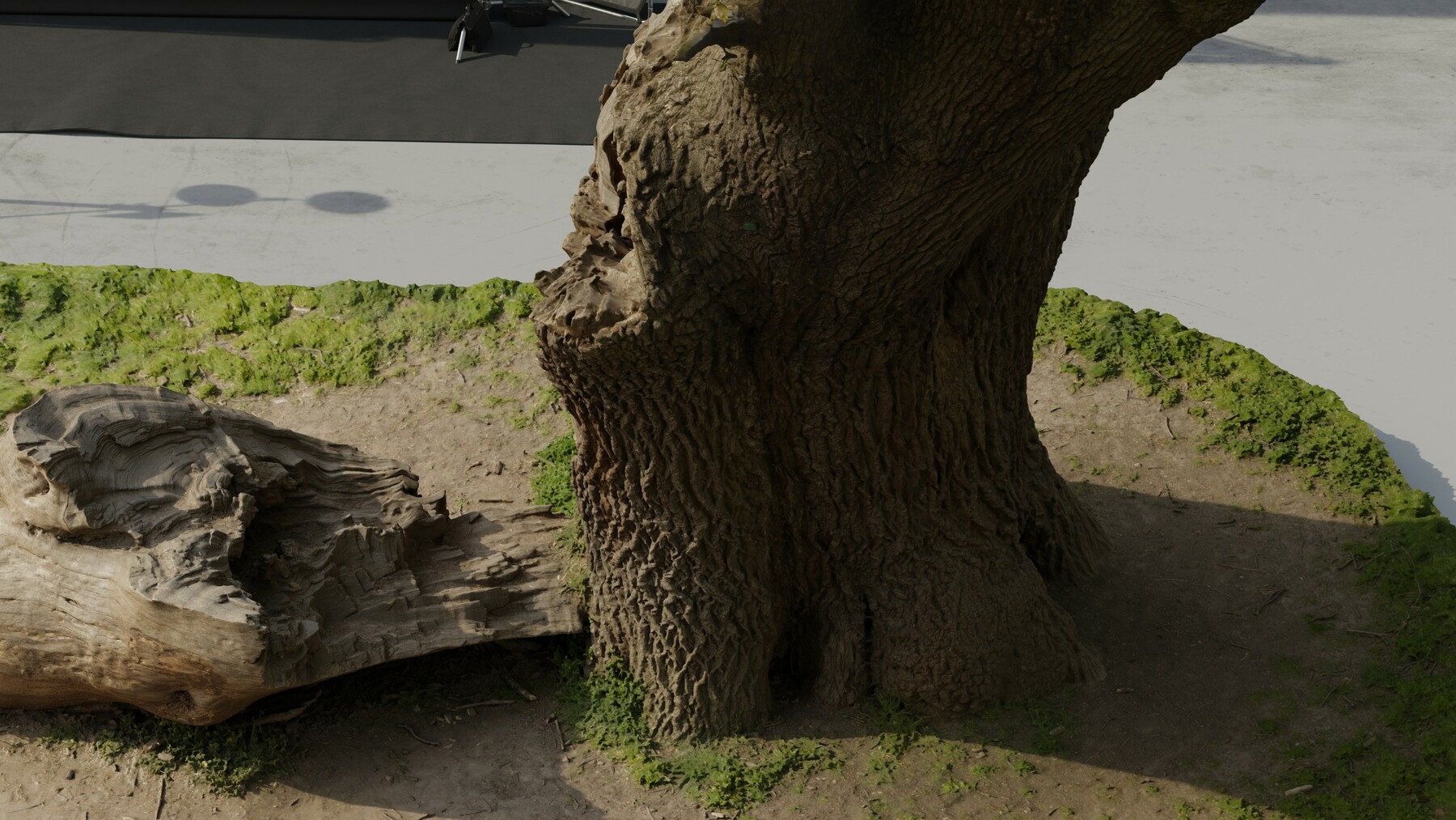 ArtStation - Fallen Tree with a split branch Photogrammetry | Game Assets