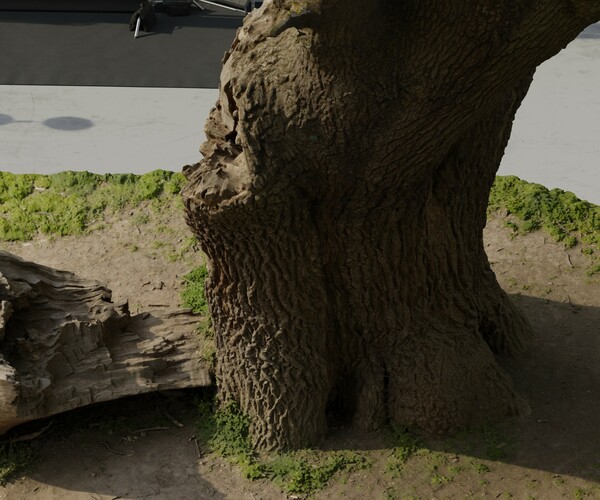 ArtStation - Fallen Tree with a split branch Photogrammetry | Game Assets
