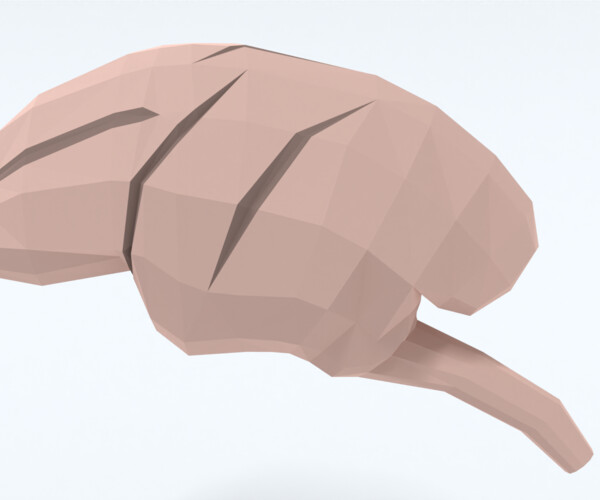 ArtStation - Low Poly Cartoon Monkey Brain | Resources