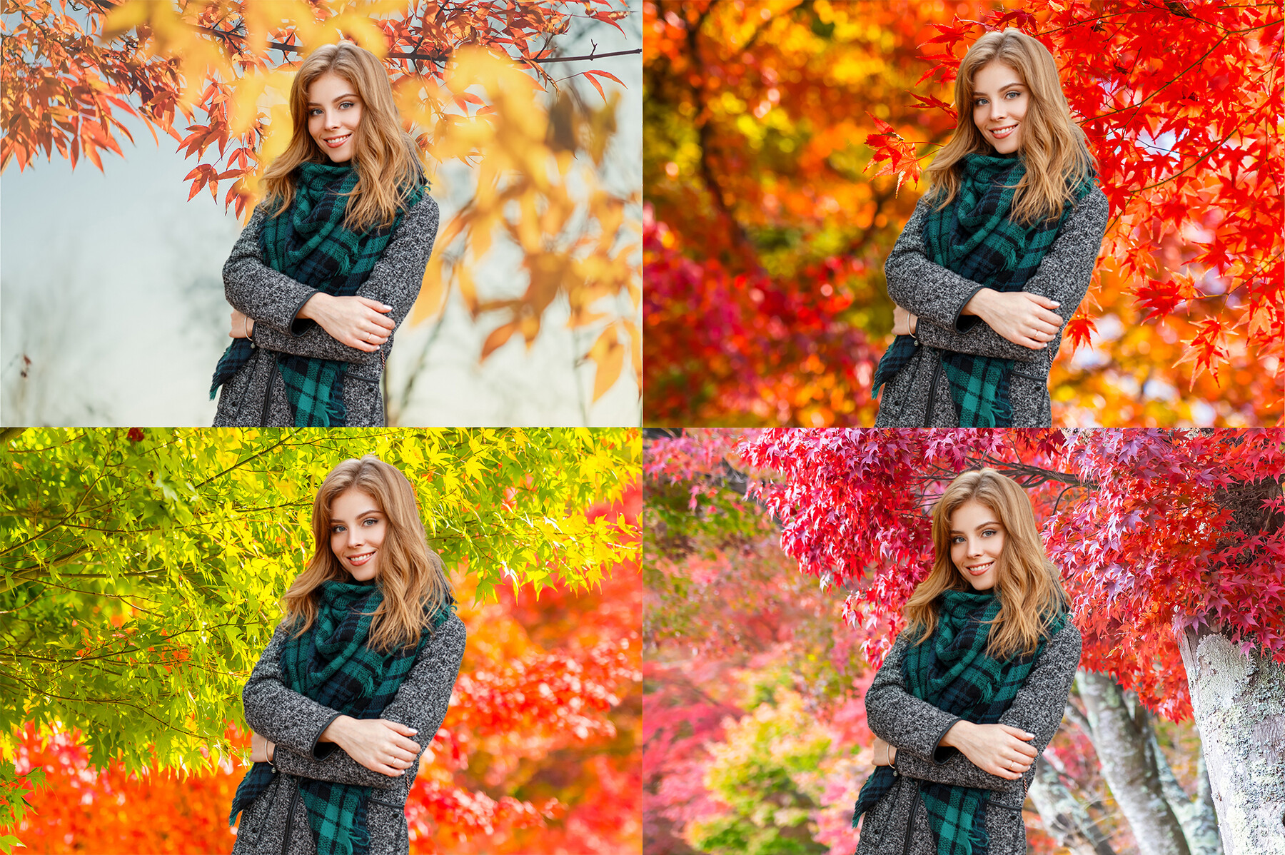 ArtStation - 80 Fall Branches backgrounds, Autumn Tree Branch Photo ...