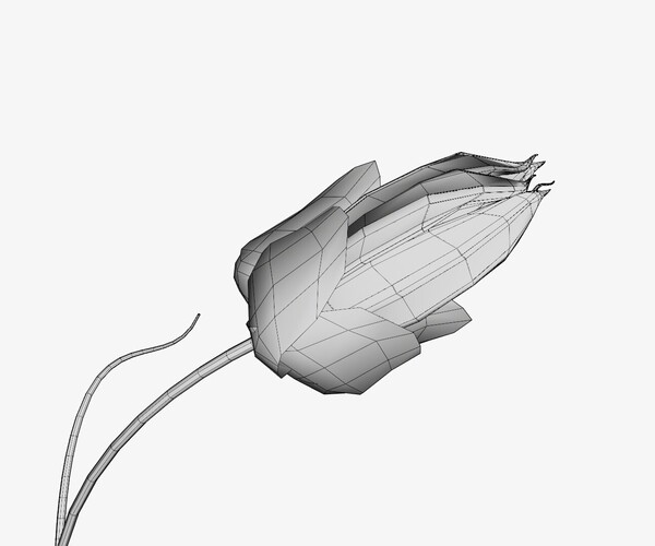 ArtStation - 3D Passion flower | Game Assets