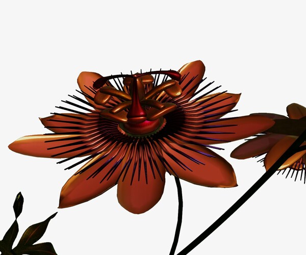 ArtStation - 3D Passion flower | Game Assets