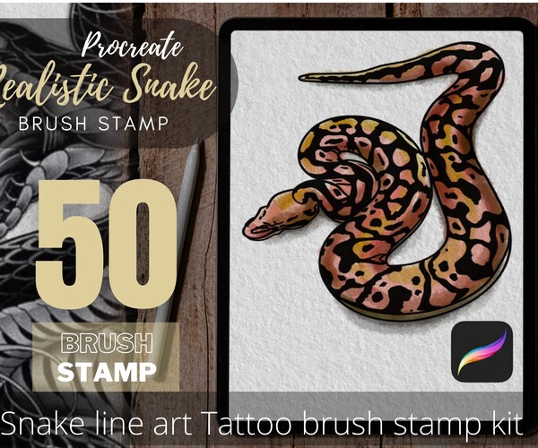 ArtStation - Snake Brush stamp, Procreate brush stamp, Realistic Snake ...
