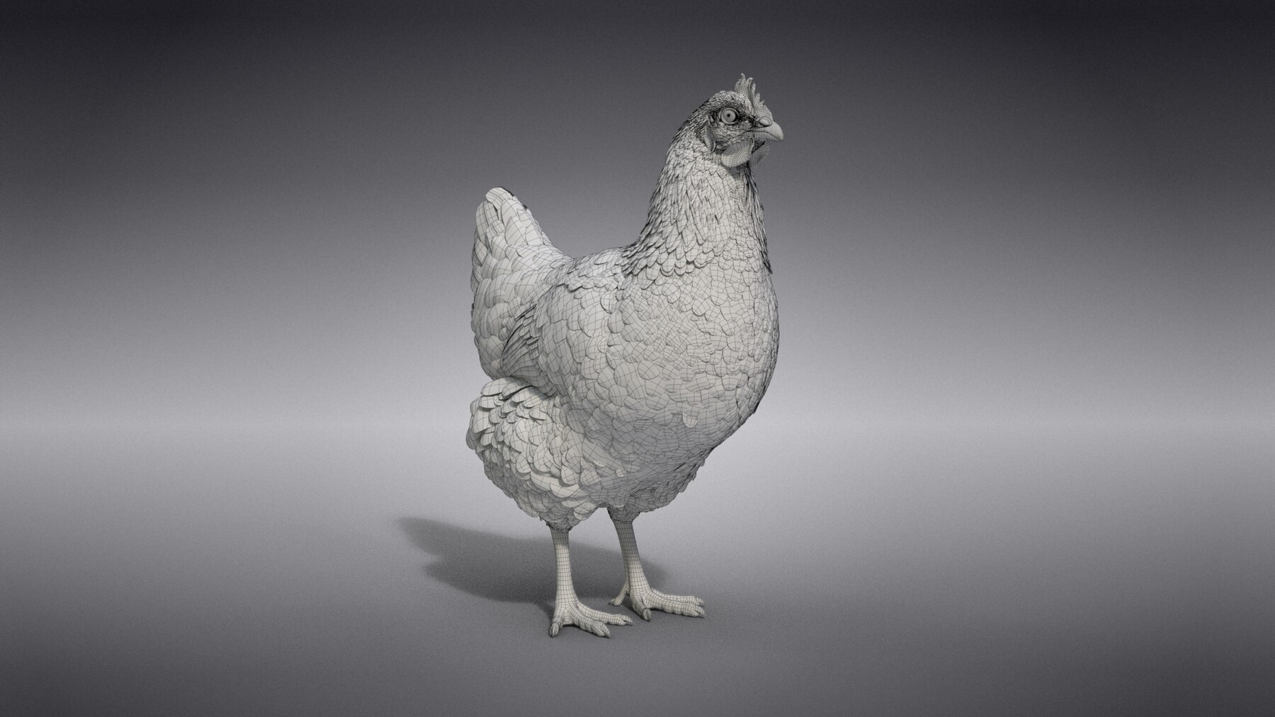ArtStation - White Hen Animated | VFX Grace | Game Assets
