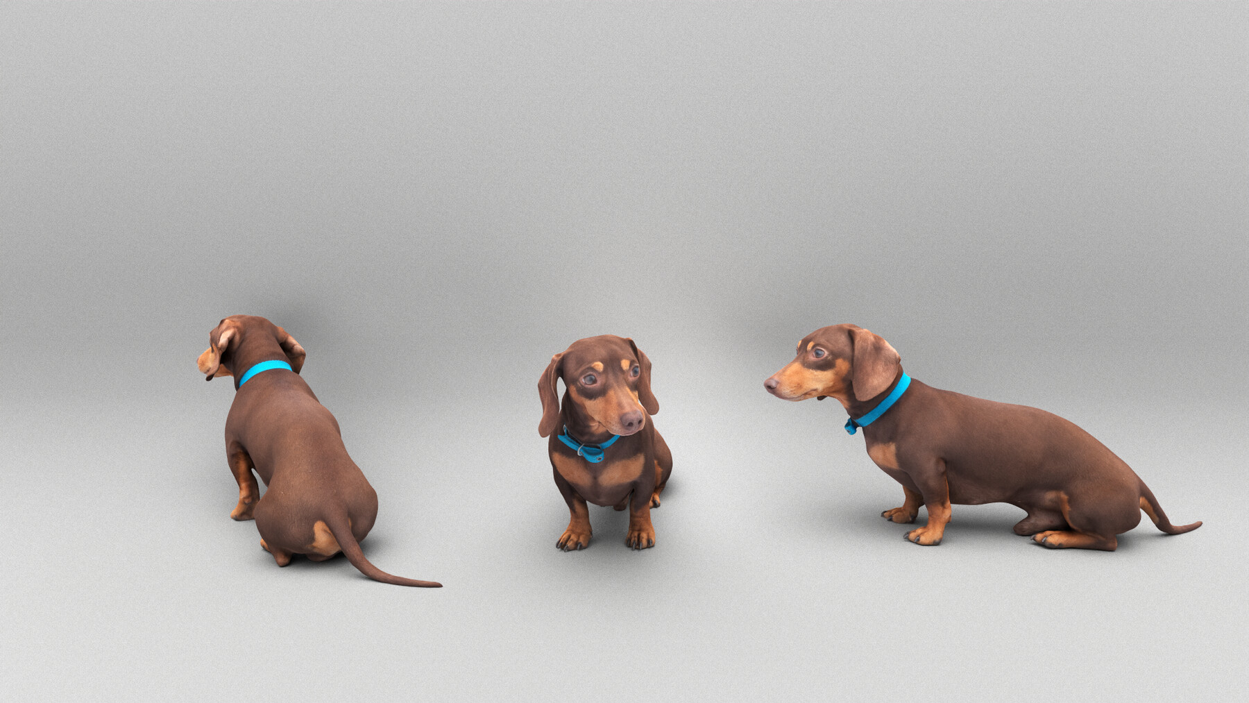 ArtStation - Dachshund dog 26 | Game Assets