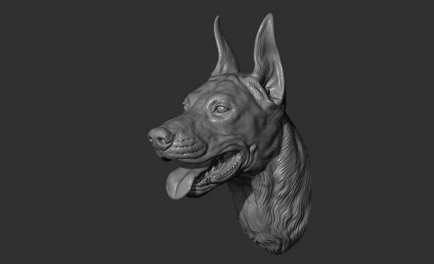 ArtStation - Doberman head | Resources