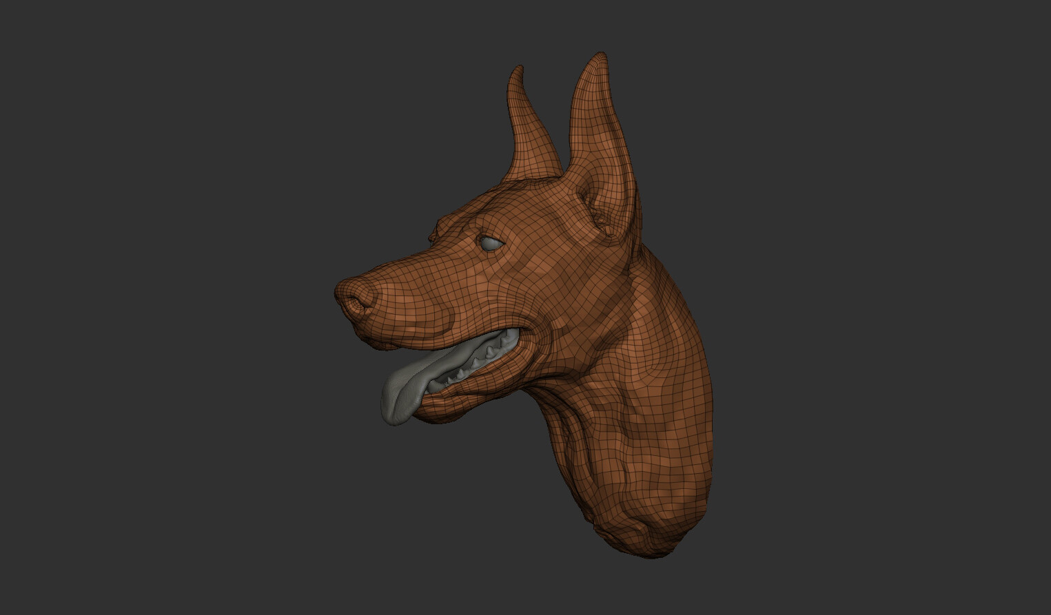 ArtStation - Doberman head | Resources