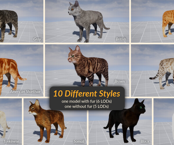 ArtStation - Advanced Cats | Game Assets