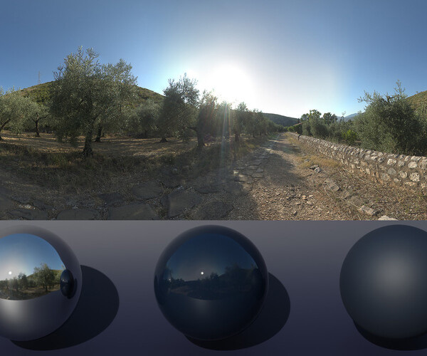 ArtStation - HDRI - Trail, Trees And Mountains | Resources