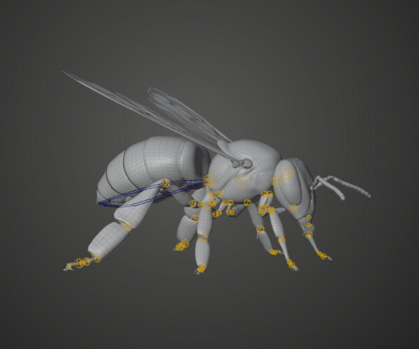 ArtStation - Honey bee Animated | VFX Grace | Game Assets