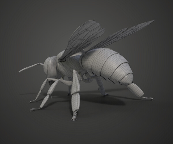 ArtStation - Honey bee Animated | VFX Grace | Game Assets