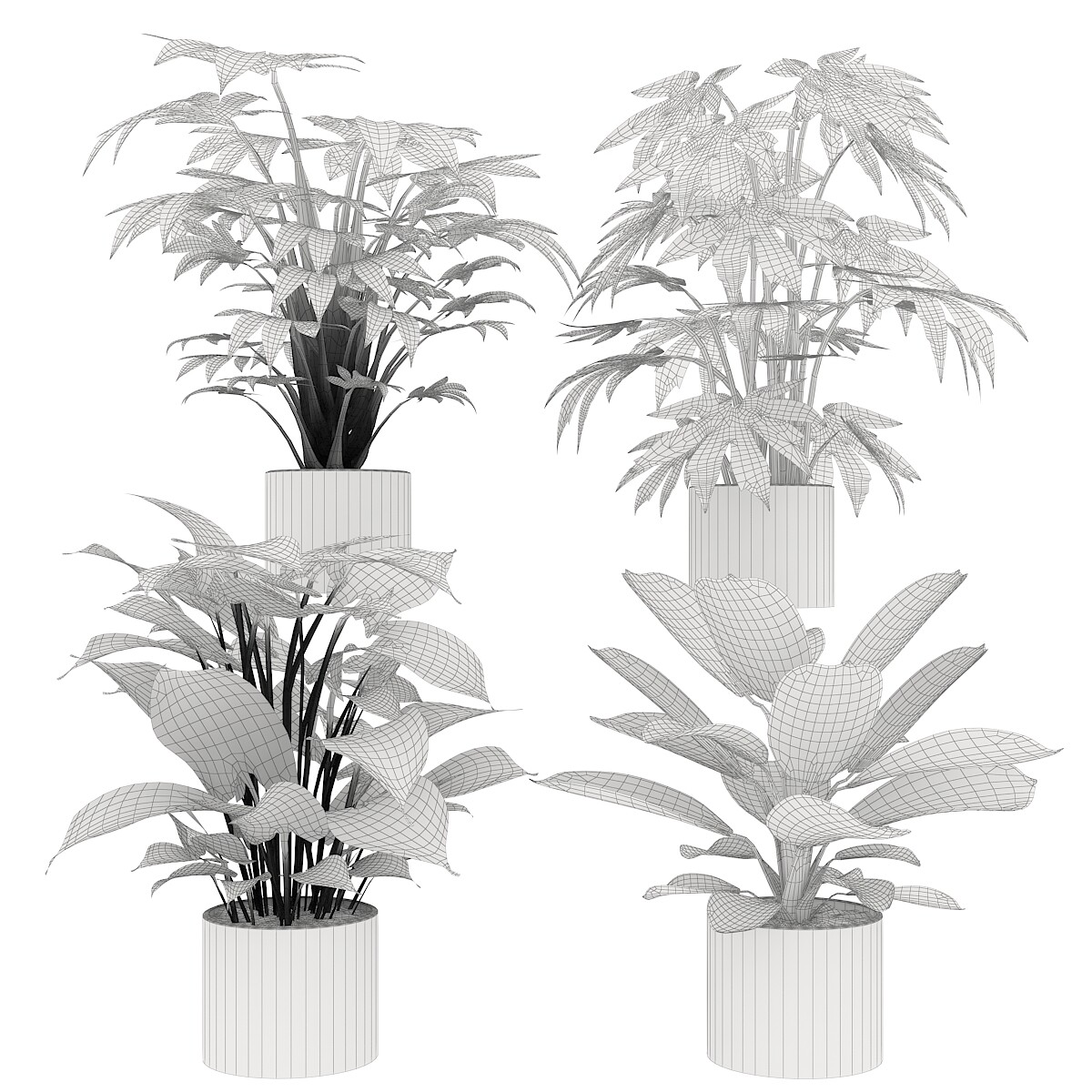 ArtStation - Collection plant vol 2 - leaf - blender - 3dmax - cinema ...