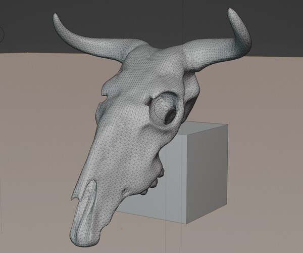 ArtStation - Bull Skull Game Ready 3D Model | Resources