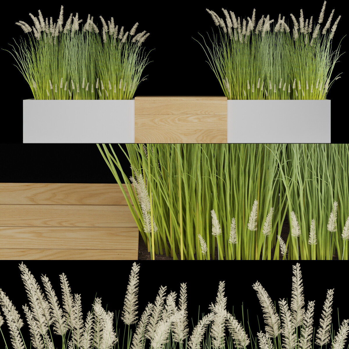 ArtStation - Plant 010 - grass - leaf - blender - 3dmax - cinema 4d ...