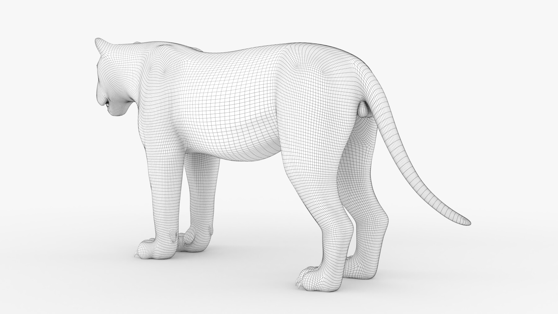 ArtStation - 3D Model: Lion | Game Assets