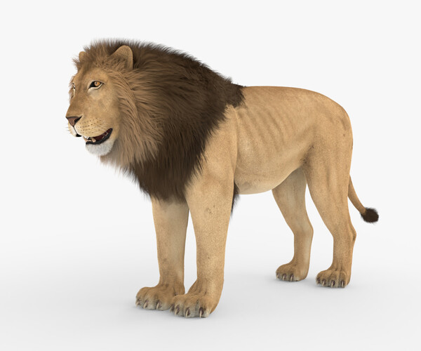 ArtStation - 3D Model: Lion | Game Assets