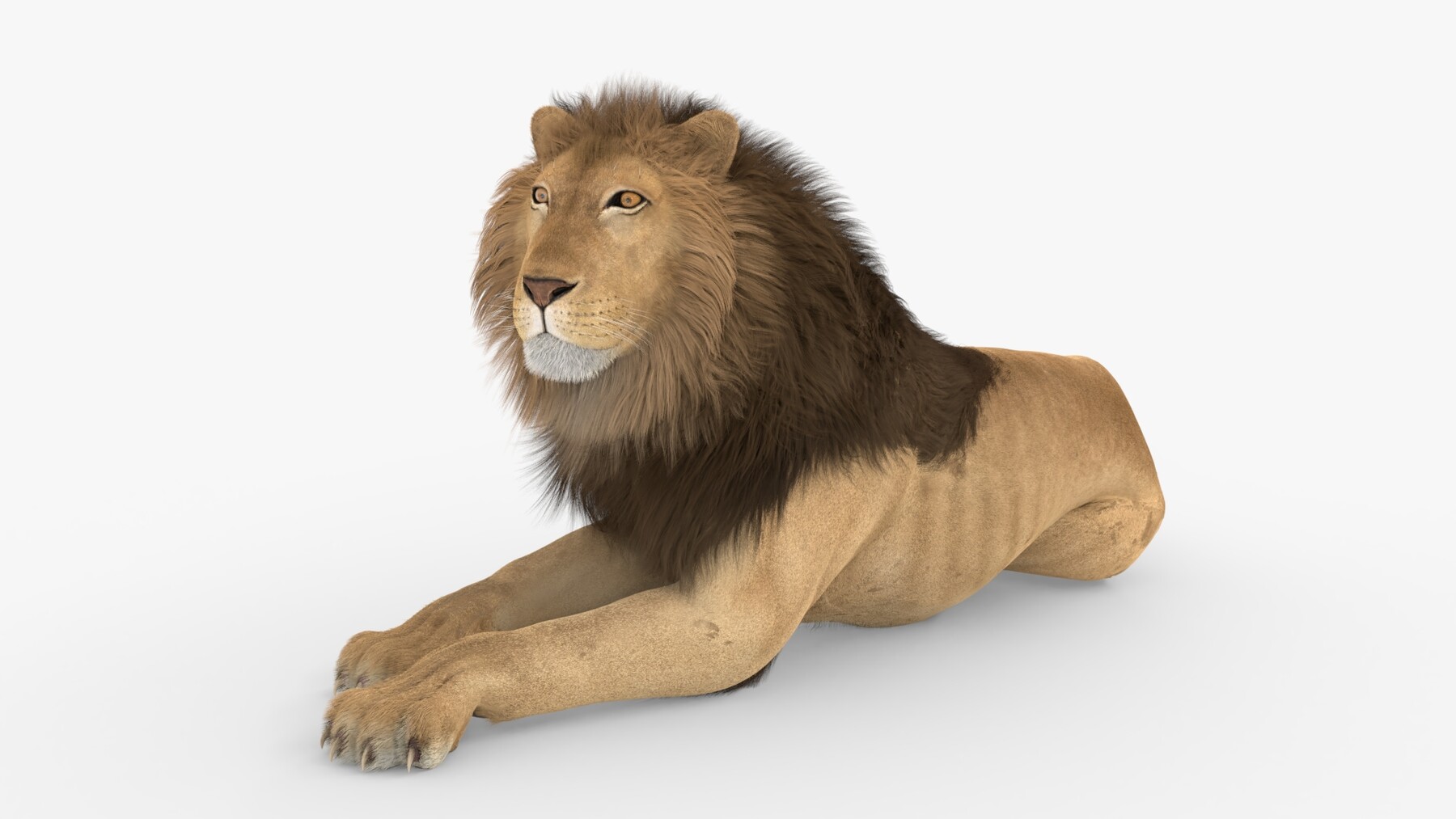 ArtStation - 3D Model: Lion Rigged | Game Assets