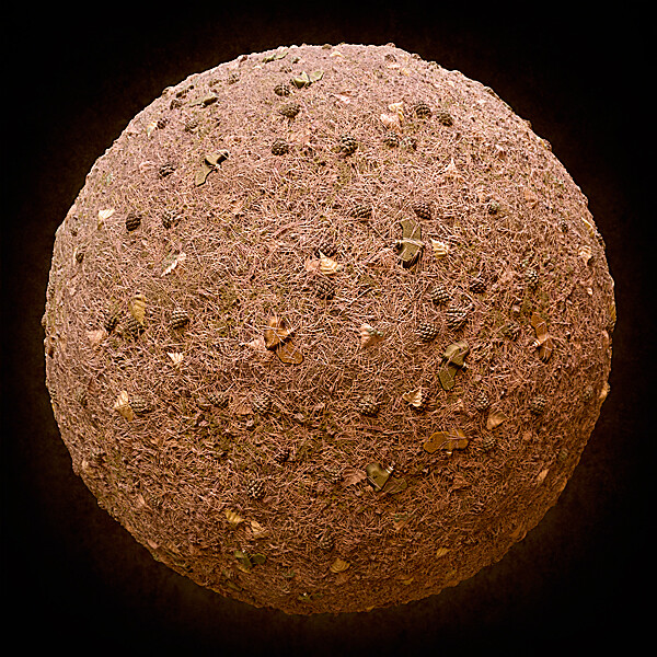 ArtStation - Forest Ground - Substance Designer Material | Game Assets