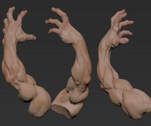 ArtStation - Arms Gesture1 | Resources