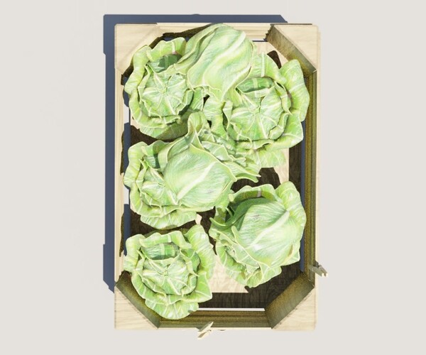 ArtStation - Cabbage Box | Resources