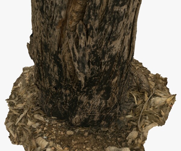 ArtStation - Burnt Tree Trunk 3x16k Textures Ultra HQ raw 3D scan ...