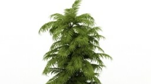 ArtStation - Resource-Interior-Exterior-Plant - Mini Tree Deco | Resources