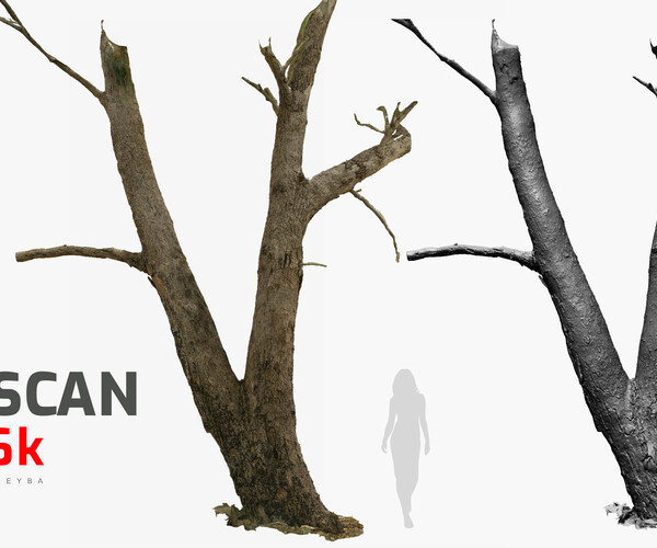 ArtStation - Burnt Tree Trunk 1x16k \ 3x20k Textures Raw 3D scan | Game ...