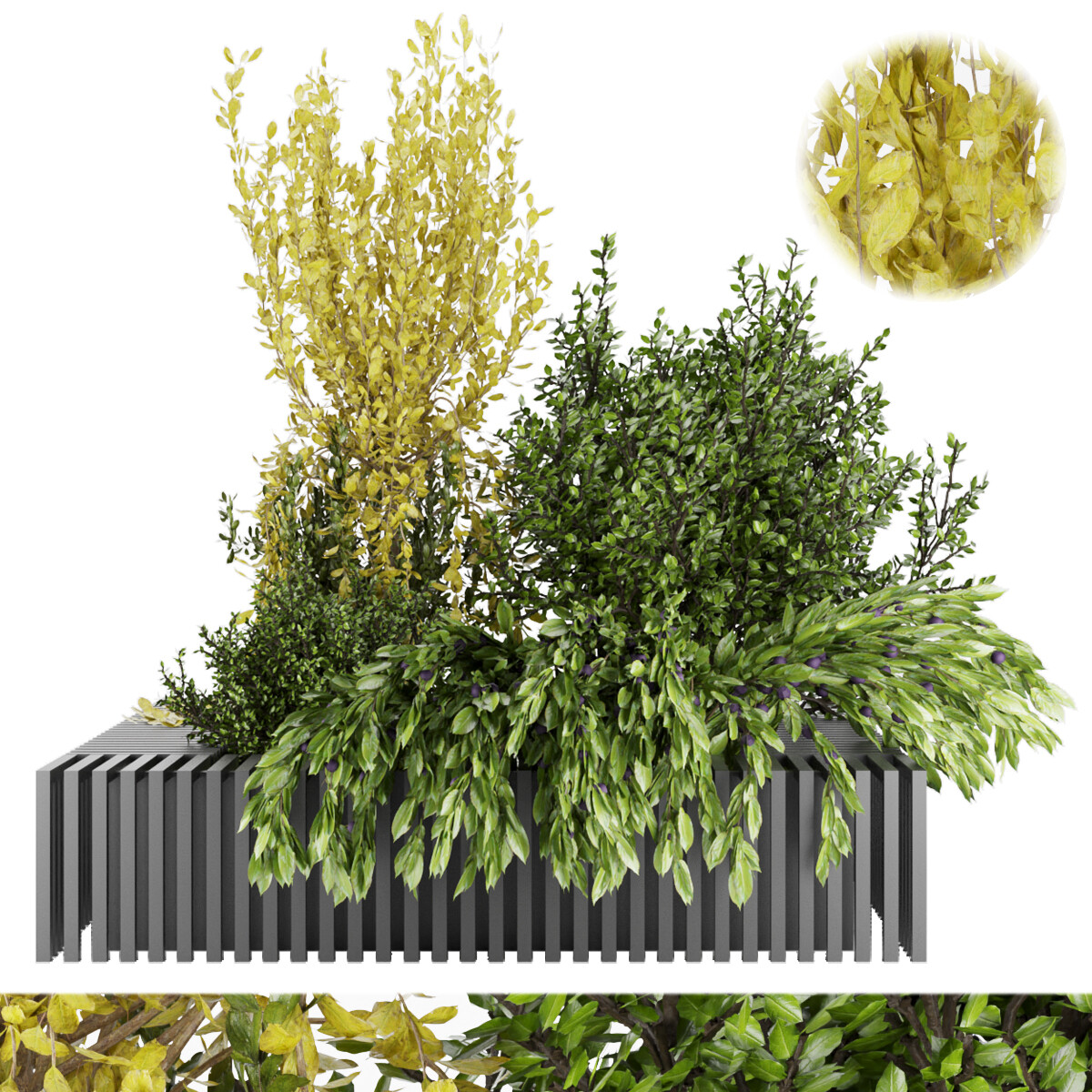 ArtStation - Collection plant vol 23 - leaf - blender - 3dmax - cinema ...
