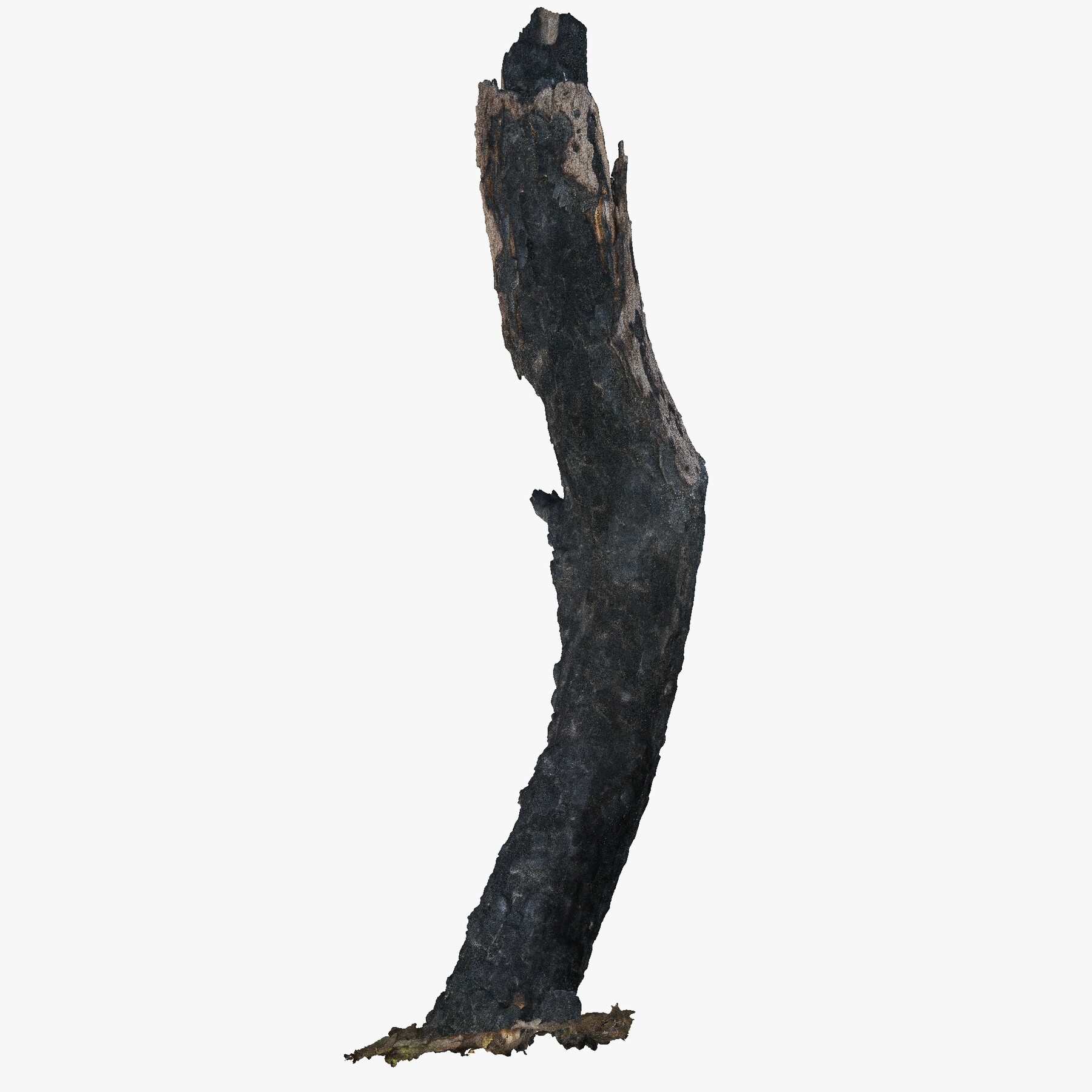 ArtStation - Burnt Tree Trunk 1x16k Textures Raw 3D scan | Game Assets